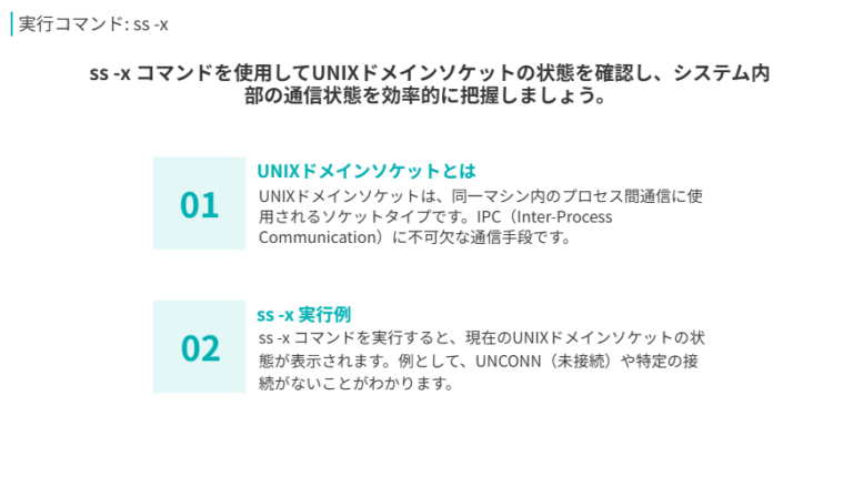 Linux ssコマンドのオプション完全ガイド｜基本から実践まで徹底解説！【基本編】 - GORITec