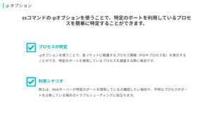 Linux ssコマンドのオプション完全ガイド｜基本から実践まで徹底解説！【基本編】 - GORITec
