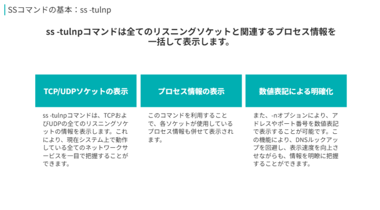 Linux ssコマンドのオプション完全ガイド｜基本から実践まで徹底解説！【応用編】 - GORITec