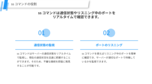 ss コマンドの出力結果を徹底解説！ネットワーク状態の確認方法とトラブルシューティング - GORITec