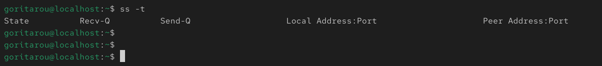 Linuxのssコマンド徹底解説！オプション・出力の見方・実践的な使い方まで完全ガイド - GORITec